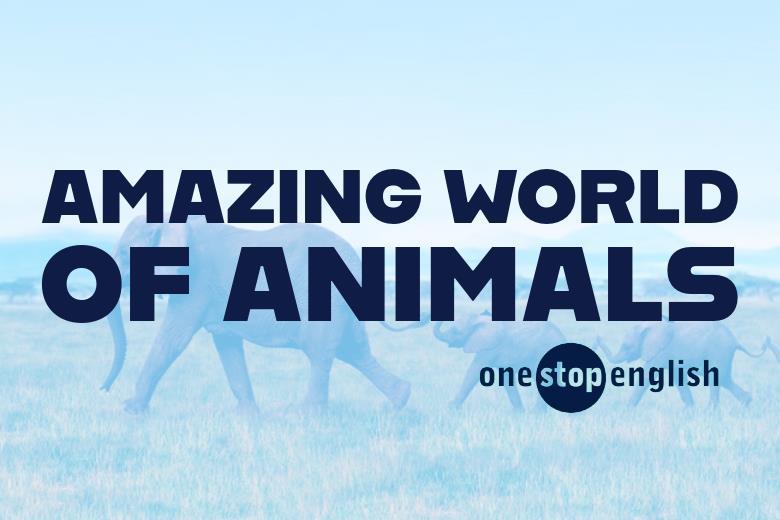 amazing animals topic