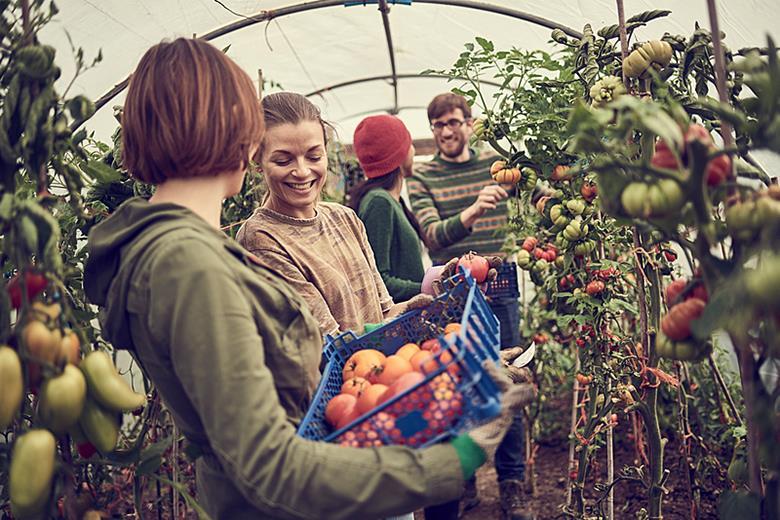 Economic Activities | Article | Onestopenglish
