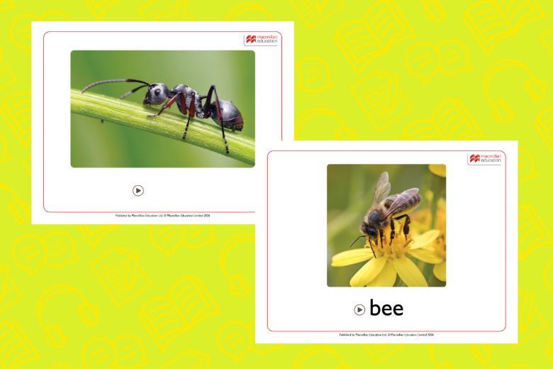 Onestopenglish Interactive Vocabulary Flashcards: Spring Is Here ...