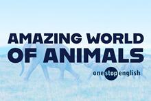 Amazing World of Animals | Onestopenglish
