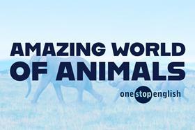 Amazing World of Animals | Onestopenglish